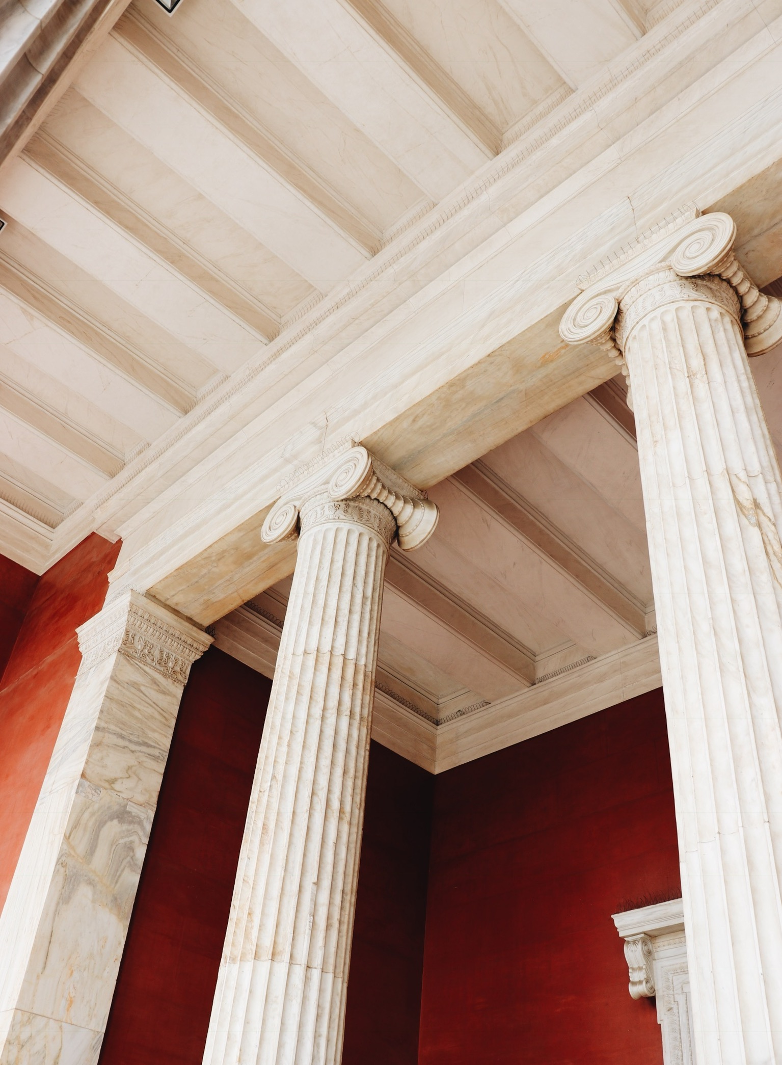 The Journey Begins – polly not home